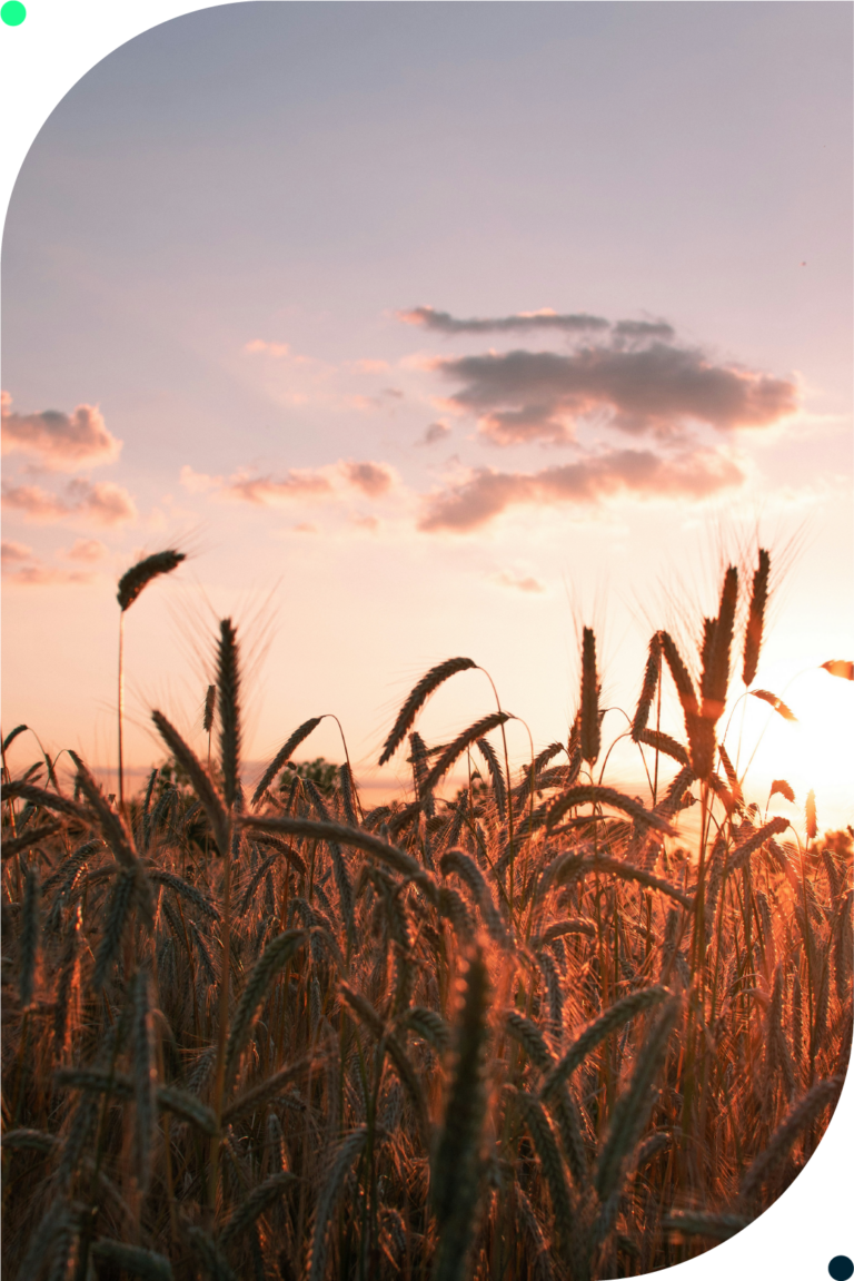 Bia Energy - Transforming Food Waste Into Clean Energy.