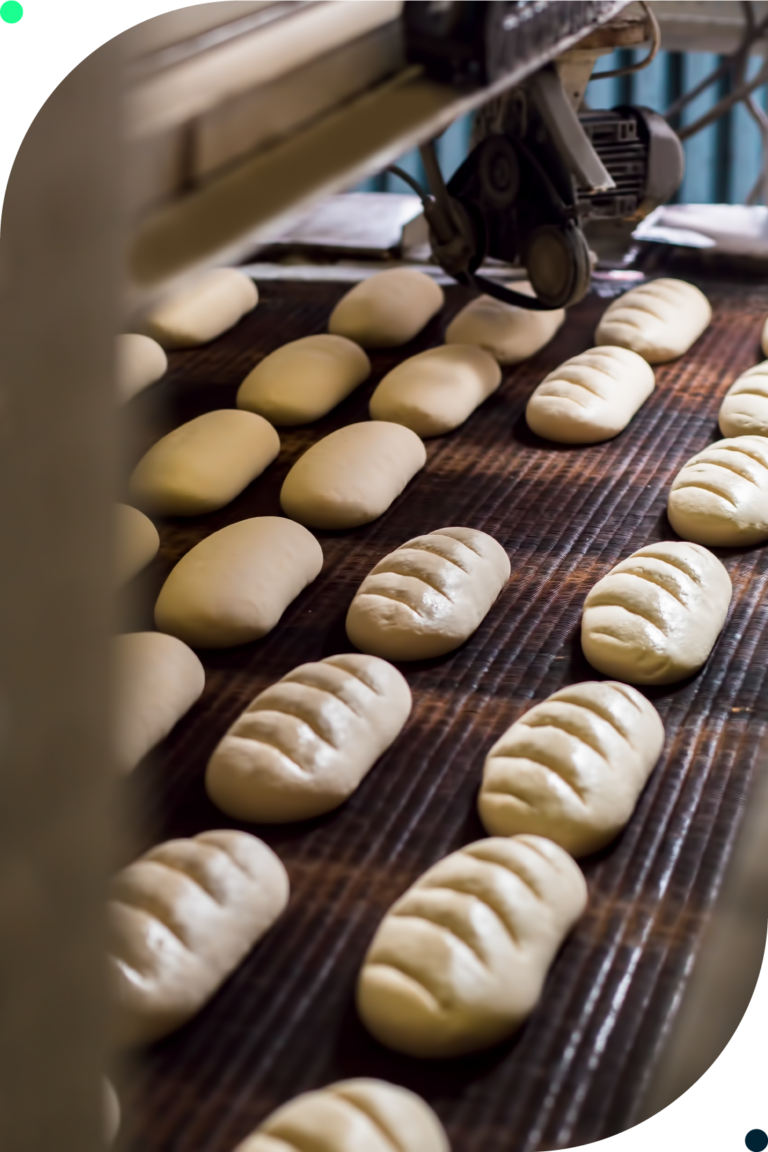 Bia Energy - Transforming Food Waste Into Clean Energy.